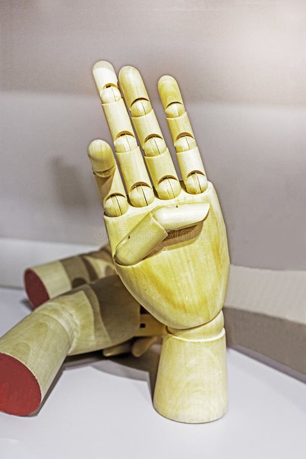 Model of a Wooden Hand with Fingers for the Study of Future Doctors ...