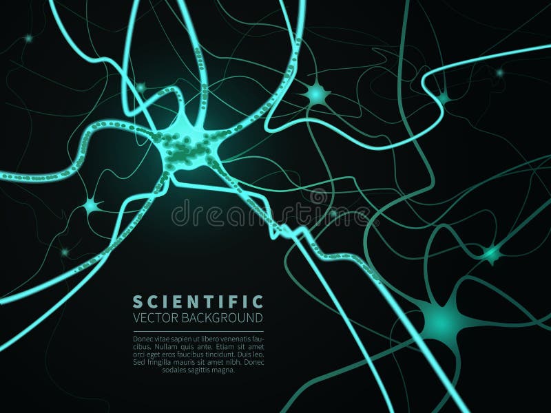 Modello Del Sistema Neurale Illustrazione Vettoriale - Illustrazione di ...