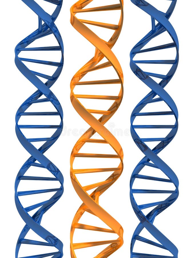 Doppia Elica Stilizzata Del DNA Illustrazione di Stock - Illustrazione ...
