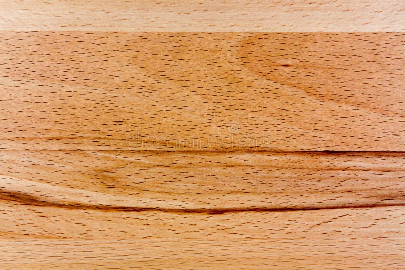 Modello di legno di faggio immagine stock. Immagine di particolari ...