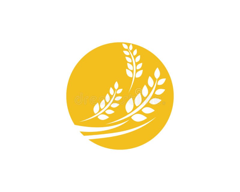 Modello Di Logo Di Grano Vettoriale Illustrazione Vettoriale ...