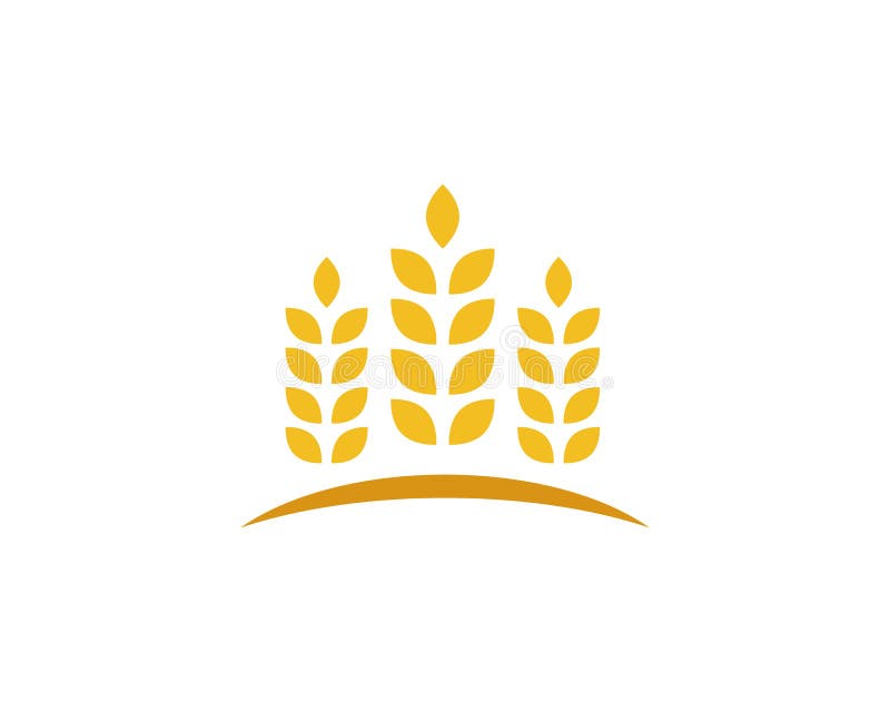 Vettore Del Modello Di Logo Del Grano Illustrazione Vettoriale ...