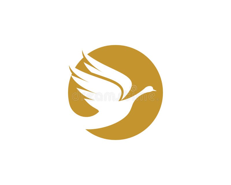 Modello di logo dell'oca illustrazione vettoriale. Illustrazione di ...