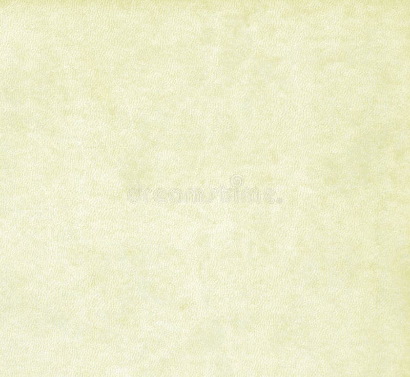 Modelo Amarillo Claro Del Cuero Del Color Foto de archivo - Imagen de ...