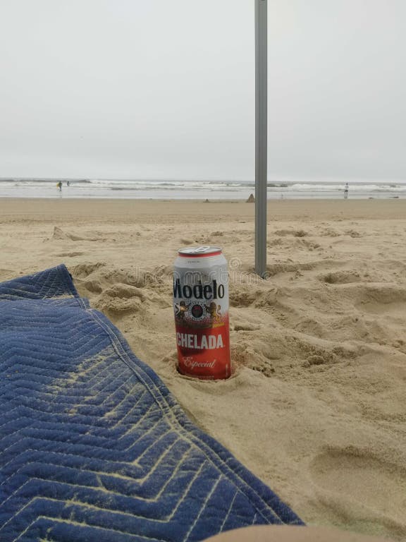 Modelo beach day editorial stock image. Image of modelo - 128197359