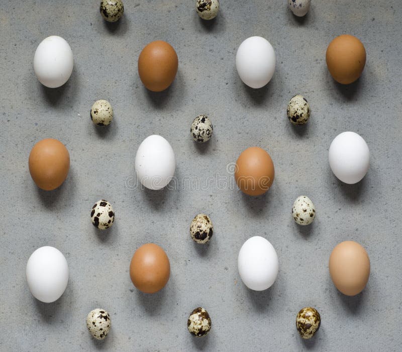 Modelo Con Muchos Diversos Tipos De Huevos Foto de archivo - Imagen de ...