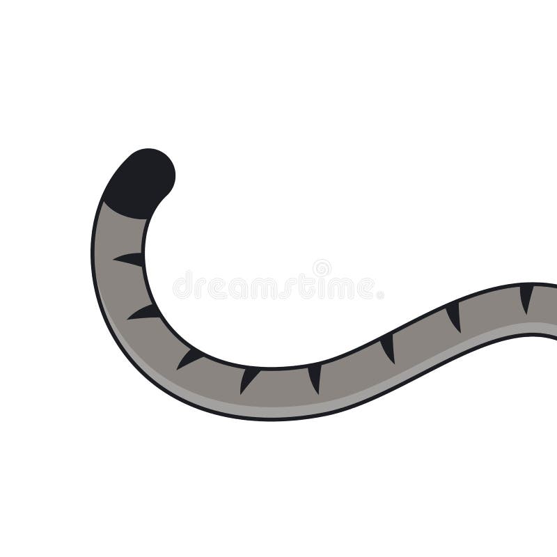 Modelo De Design Do Elemento Vetor De Cauda De Gato Ilustração do Vetor ...