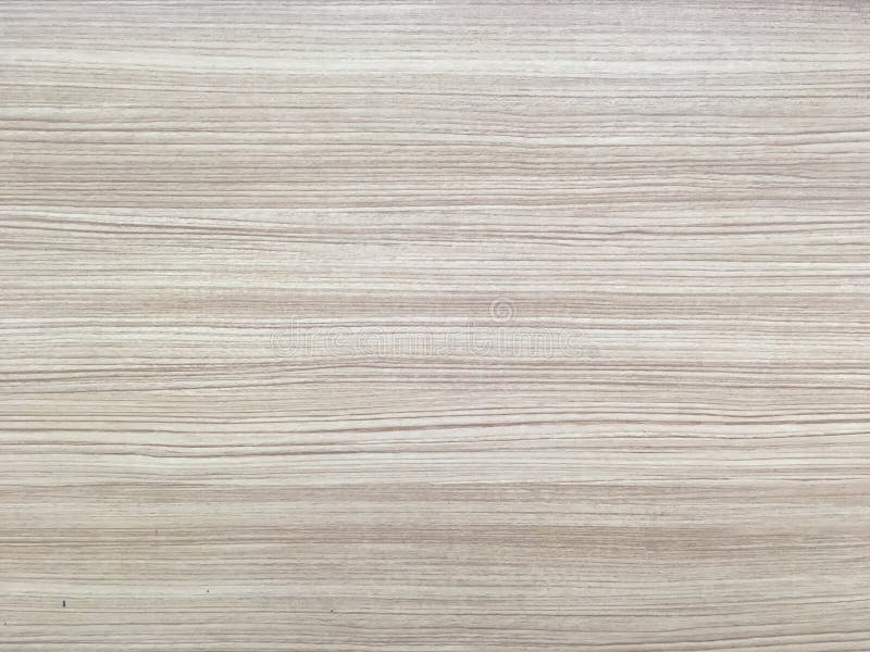 Modelo De Madera De Roble Blanco Imagen de archivo - Imagen de panel ...