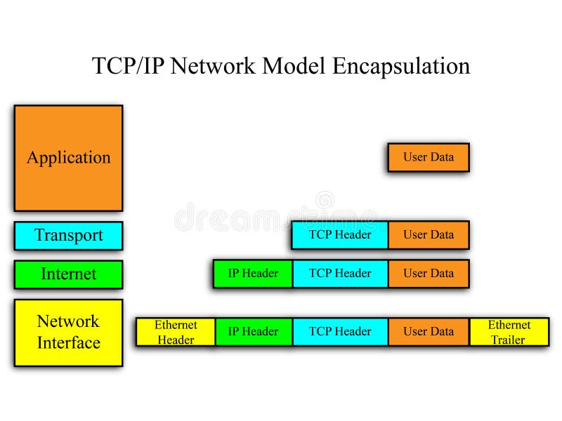 Modelo de red del TCP/IP stock de ilustración. Ilustración de interfaz ...