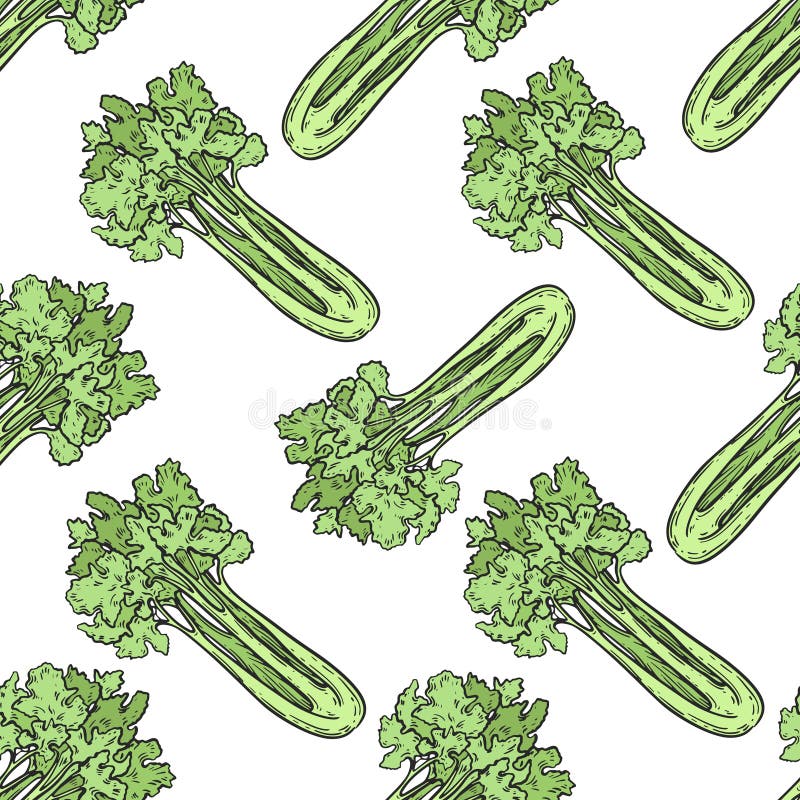 Apio Ilustraciones Stock, Vectores, Y Clipart – (5,834 Ilustraciones Stock)