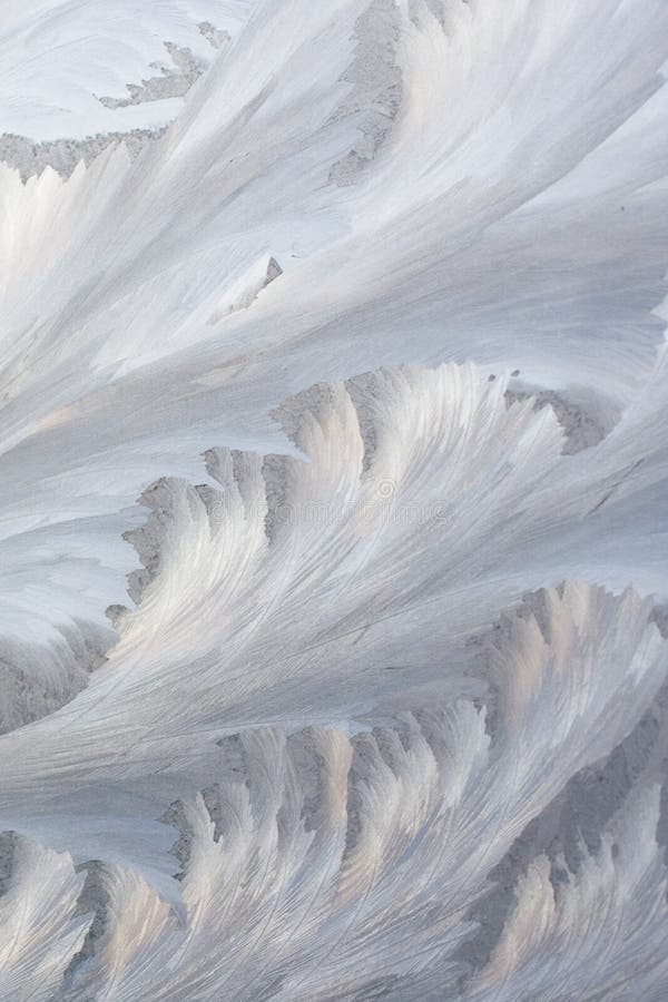 Modelo escarchado foto de archivo. Imagen de nieve, invierno - 12212900