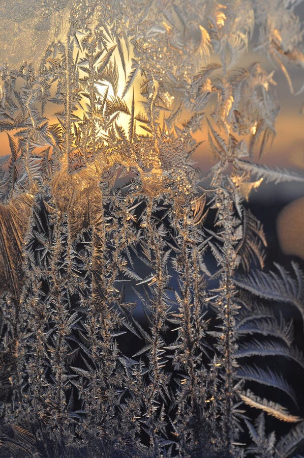 Modelo escarchado foto de archivo. Imagen de macro, amanecer - 12644728