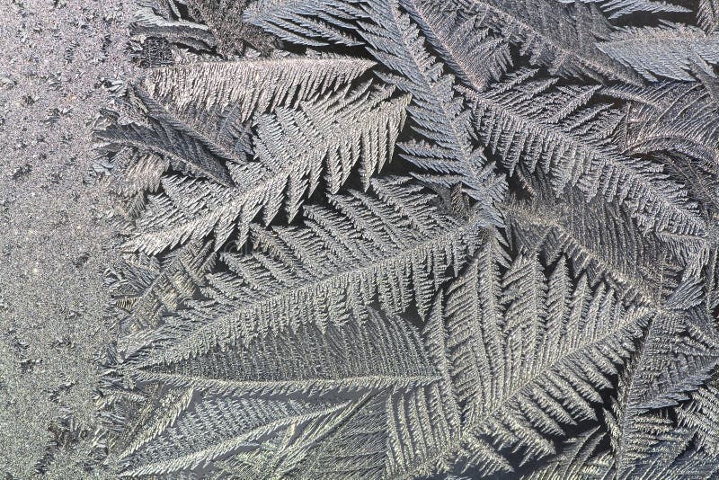 Modelo escarchado imagen de archivo. Imagen de hielo - 15989821