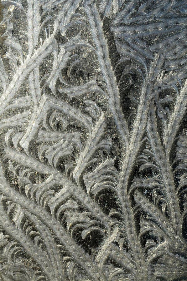 Modelo escarchado foto de archivo. Imagen de textura - 41395096