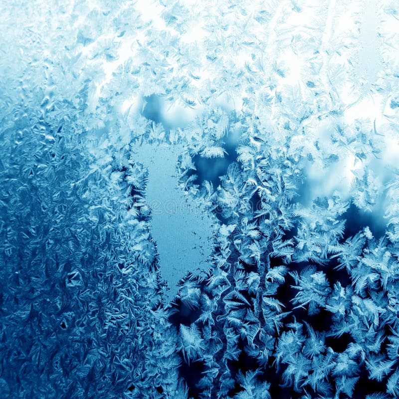 Modelo Fino Escarchado En Un Invierno Foto de archivo - Imagen de ...