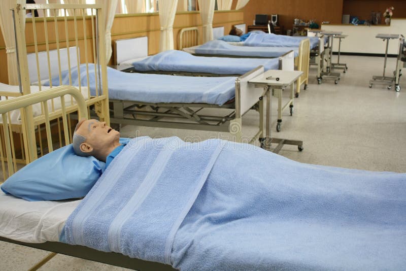 Modelo humano foto de archivo. Imagen de humano, habilidad - 34299736