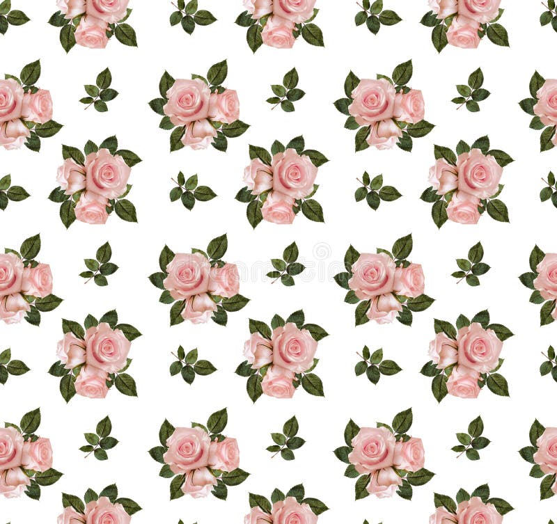 Modelo Inconsútil Con Las Flores Color De Rosa Stock de ilustración ...