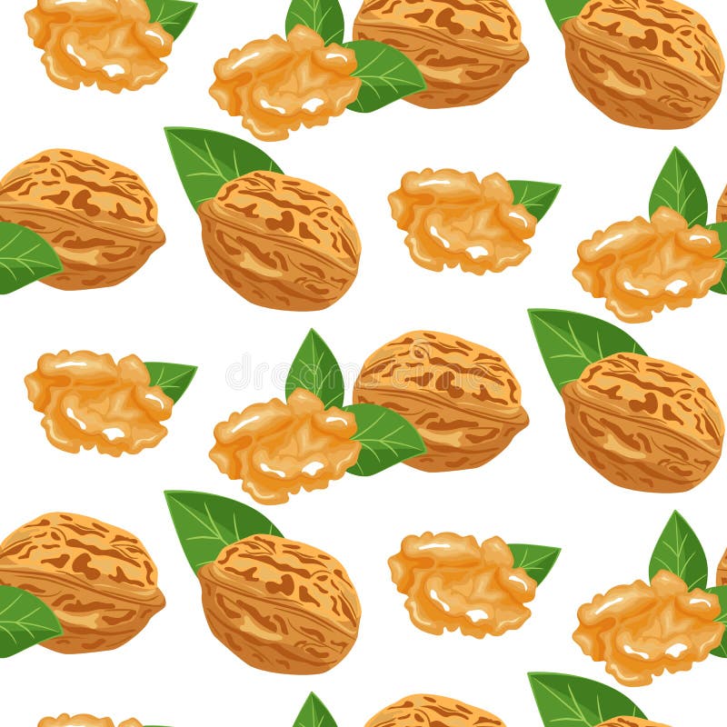 Nueces Ilustraciones Stock, Vectores, Y Clipart – (8,130 Ilustraciones ...