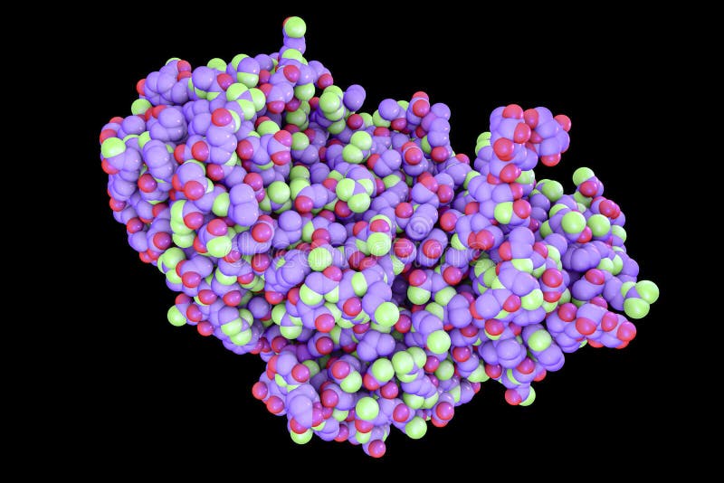Proteína Venenosa De La Planta De Ricino De La Ricina, Estructura ...