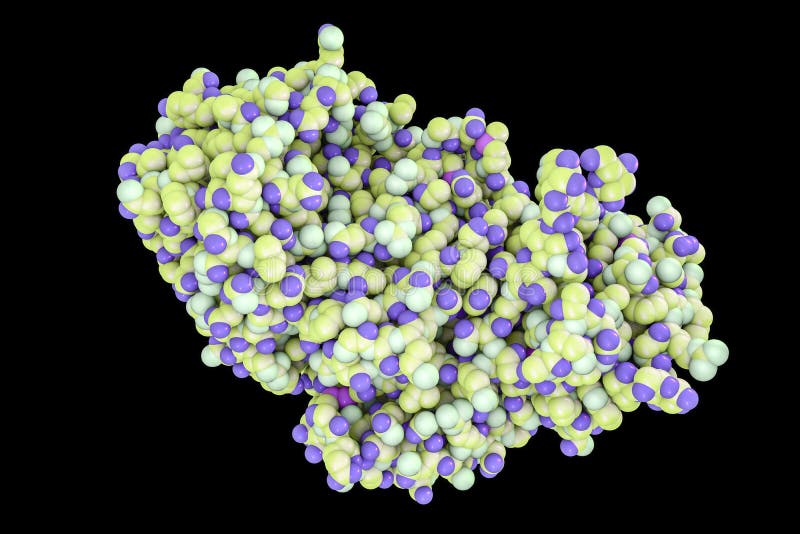 Modelo Molecular De La Ricina Stock de ilustración - Ilustración de ...
