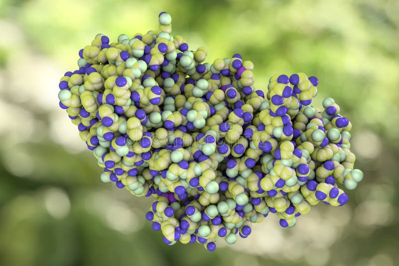 Modelo Molecular De La Ricina Stock de ilustración - Ilustración de ...
