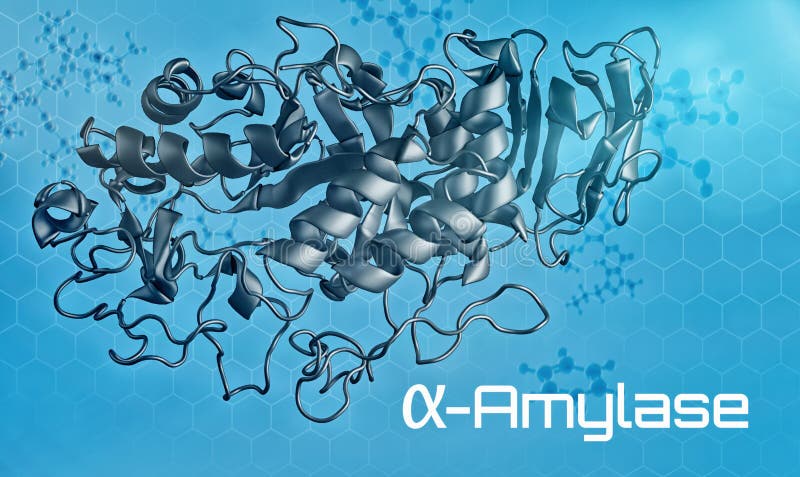 Fórmula Química Estrutural Molecular Da Amílase As Funções Do Trato ...