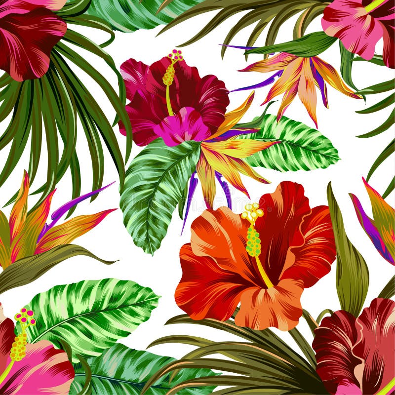 Modelo tropical del vector ilustración del vector. Ilustración de ...