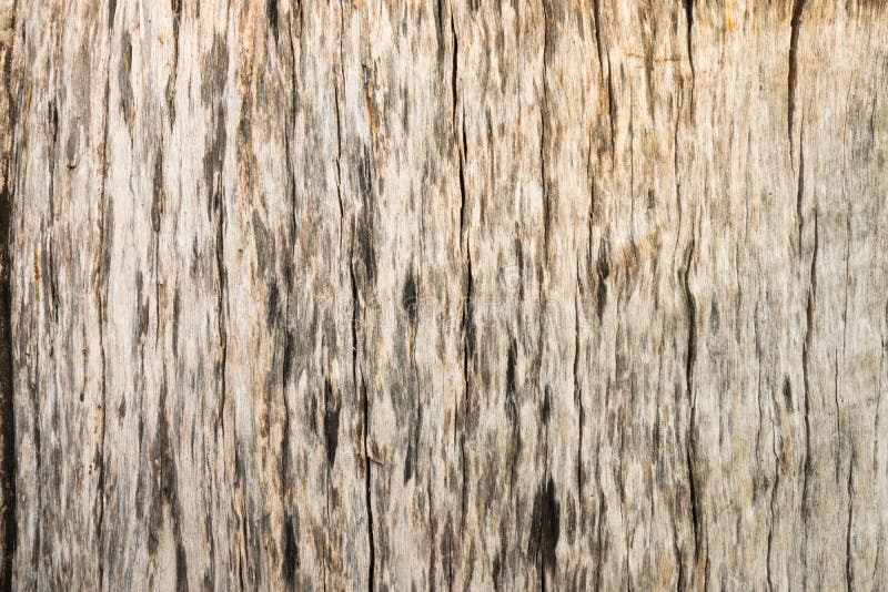 Modelos, Colores Y Modelos De Madera Naturales Foto de archivo - Imagen ...