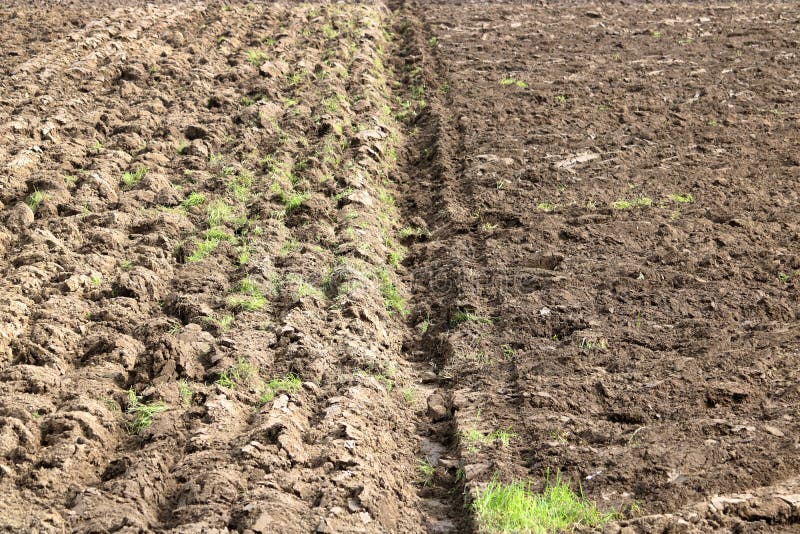 Modelos De La Labranza Y Del Suelo Foto de archivo - Imagen de corte ...