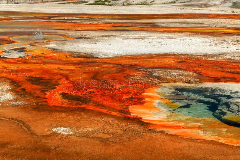 Modelos del plano de fango imagen de archivo. Imagen de colorido - 19676999