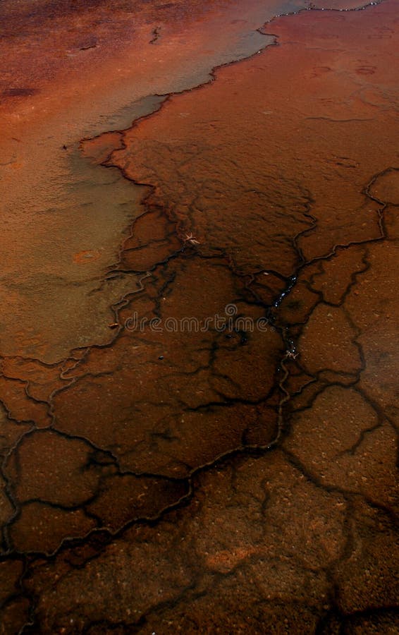 Modelos del plano de fango imagen de archivo. Imagen de travieso - 243175