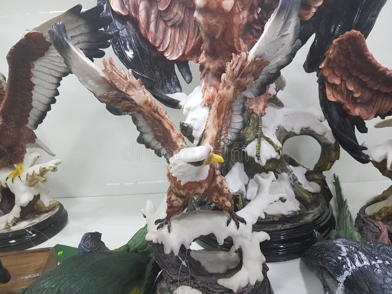 Models of Eagle Birds Photo Stock Image - Image of eagl, birds: 257657375