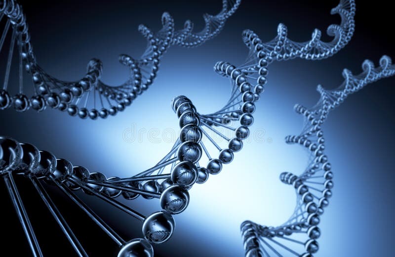 Dna Structure Molecular Models Science Medical Concept Stock Photos ...