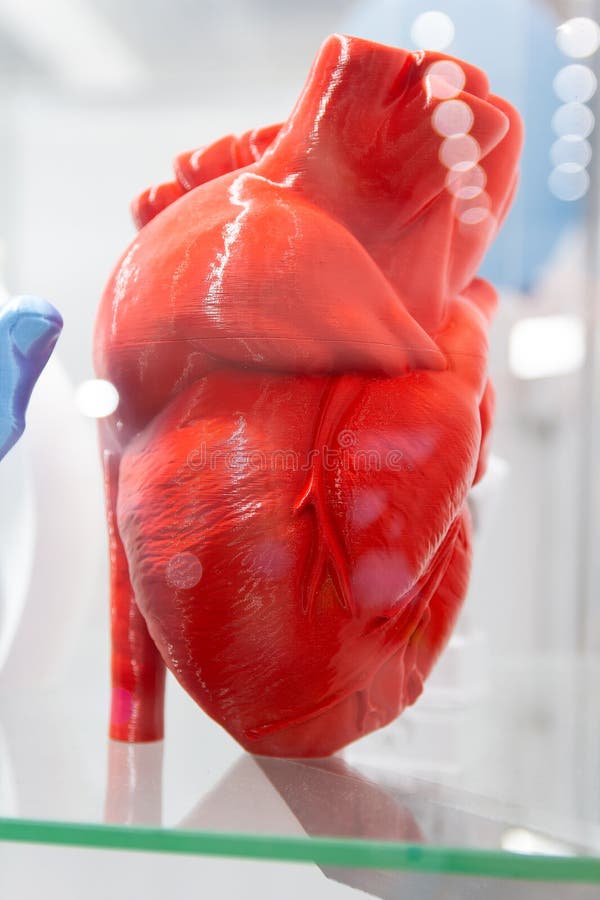 283 3d Models Human Stock Photos - Free & Royalty-Free Stock Photos ...