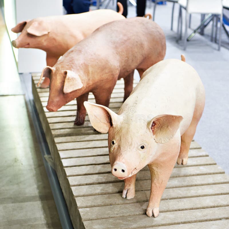 Models of Pigs at Exhibition Editorial Photography - Image of pink ...