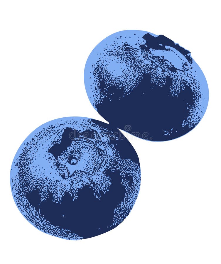 A Modern, Abstract Representation of Two Blueberries with Bold Outlines ...