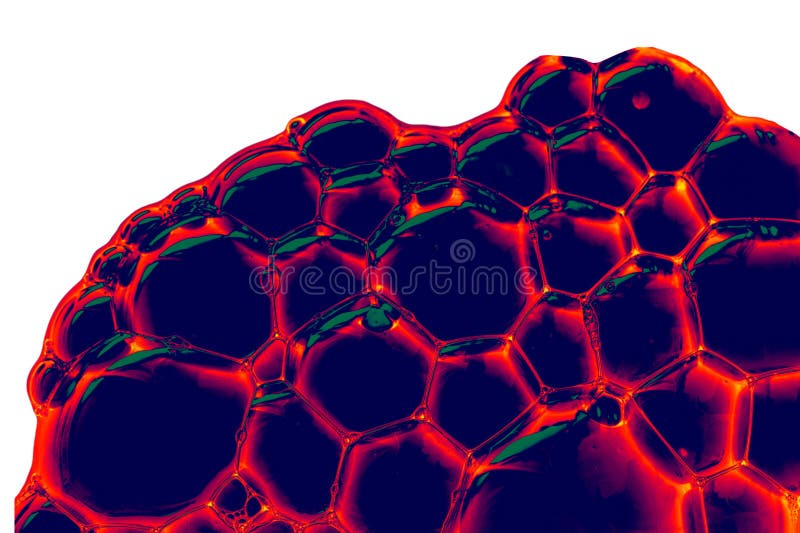 Modern Abstract Trendy Design for Print, Package, Decor Stock ...