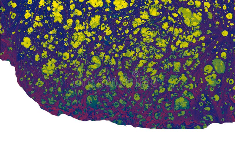 Modern Abstract Trendy Design for Print, Package, Decor Stock Photo ...