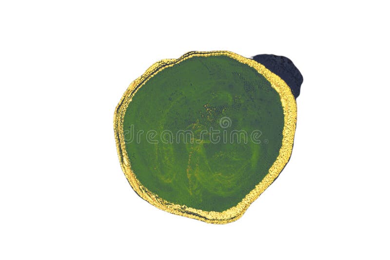 Modern Abstract Trendy Design for Print, Package, Decor Stock ...