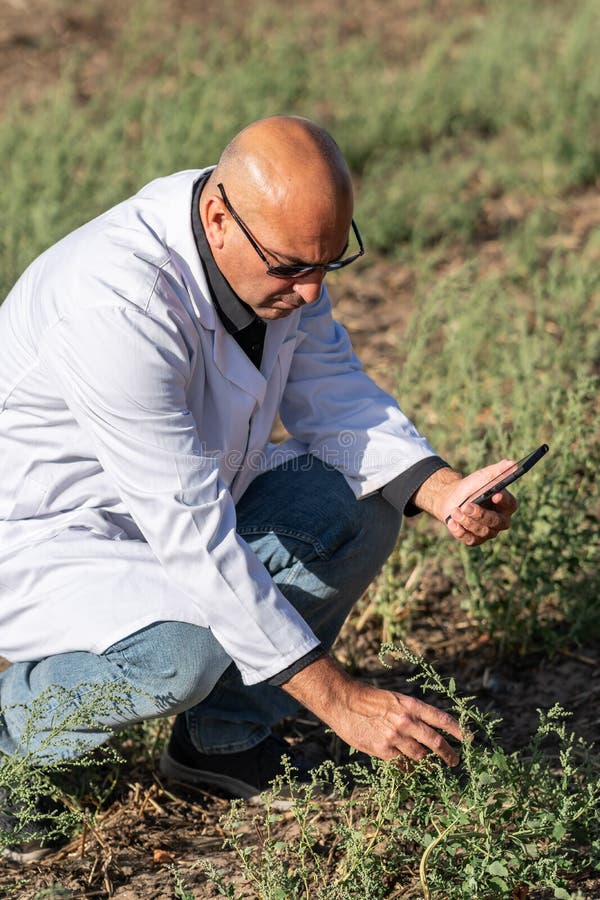 Agronomist at work editorial photography. Image of male - 126008187