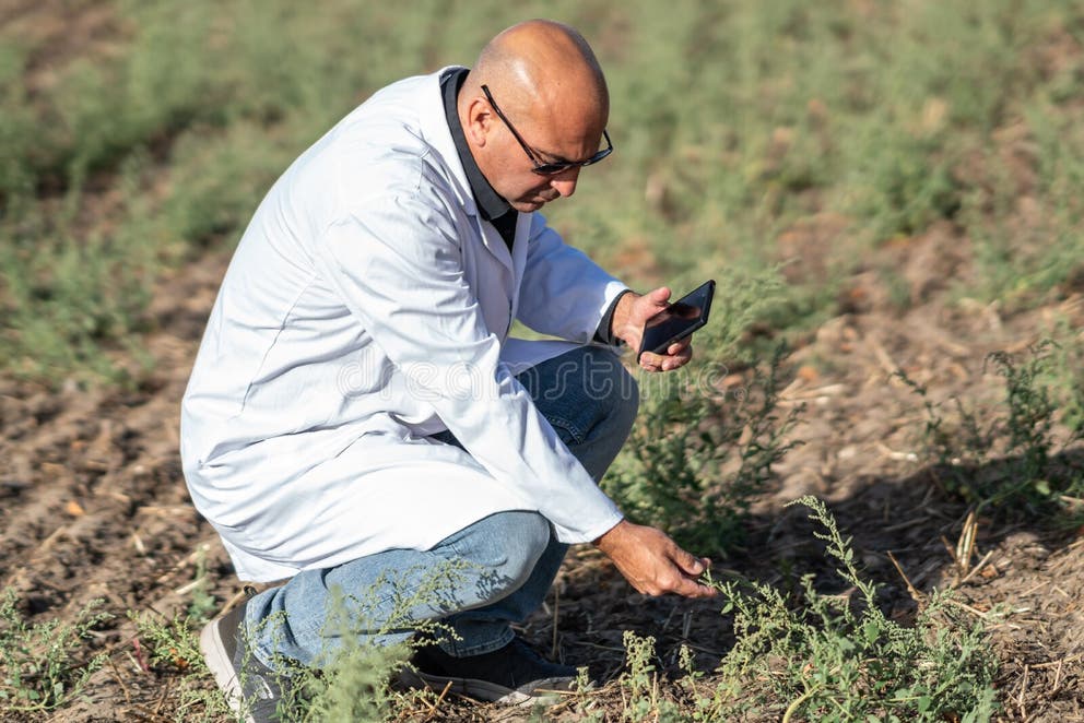 Agronomist at work editorial image. Image of environment - 126008210