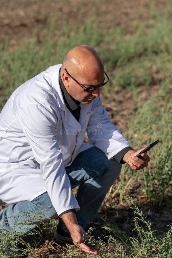 Agronomist at work editorial stock image. Image of environmental ...
