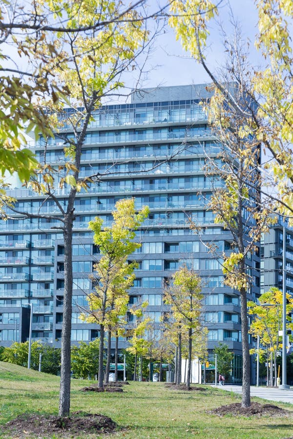 Modern Apartment Complex in the City Tree Blue Sky Clouds Stock Image ...