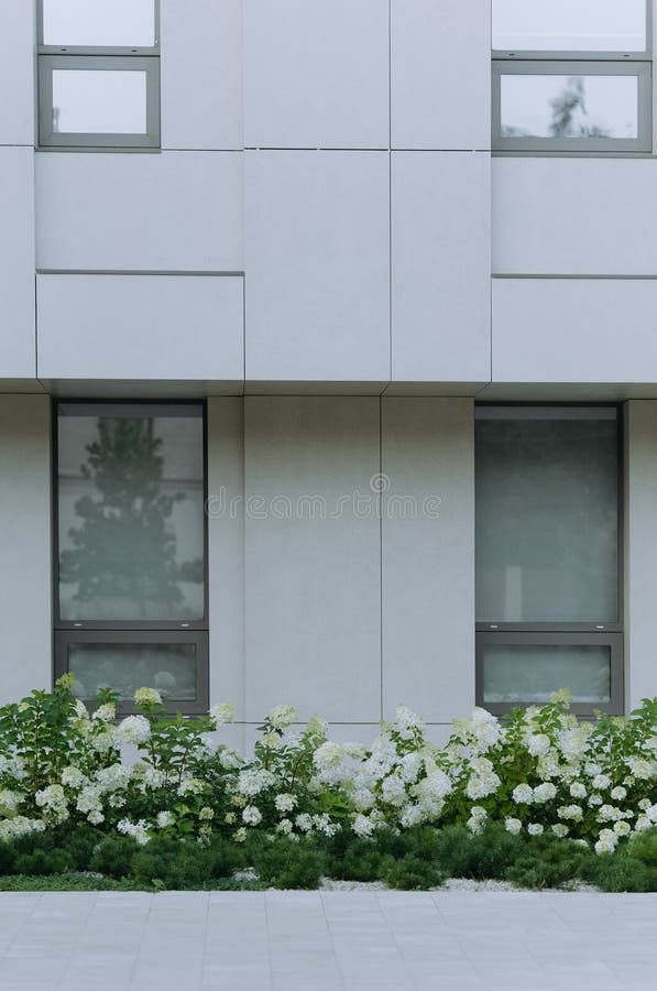 Modern Architecture with Blooming Flowers in Front of Windows Stock ...