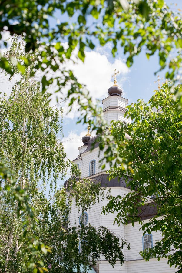 The Modern Architecture of Catholic Church with Big Green Trees and ...