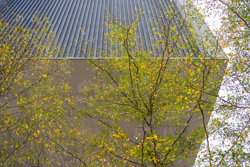 Modern Architecture Office Building and Green Trees Stock Photo - Image ...