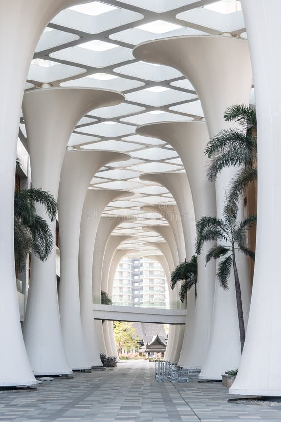 Modern Architecture White Columns Palm Trees Stock Photo - Image of curved, futuristic: 347921588