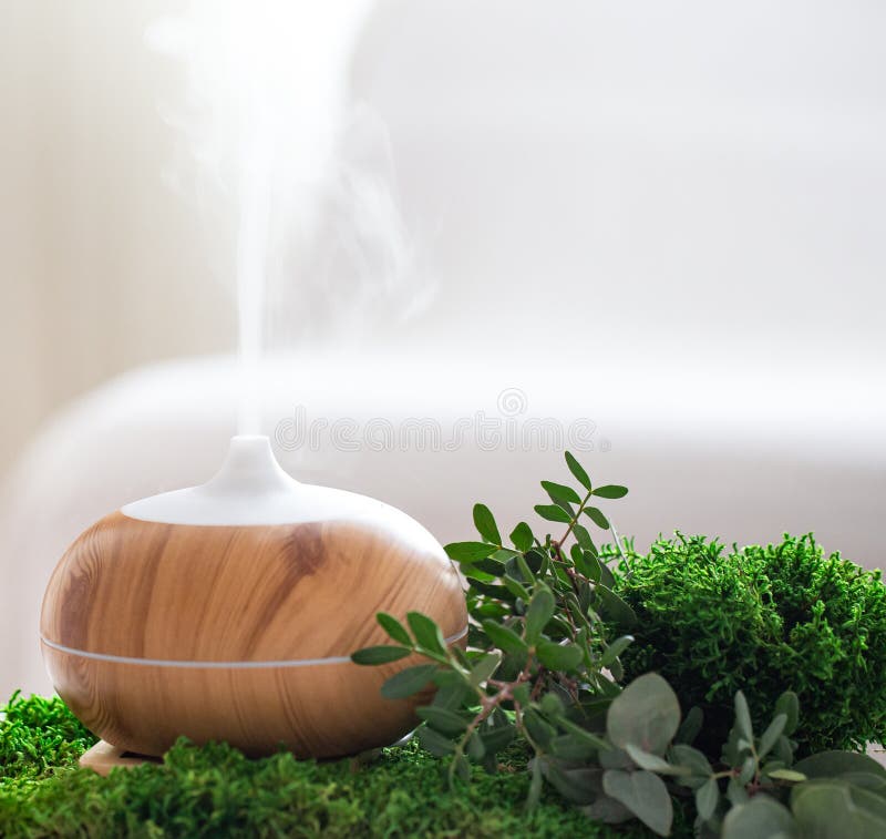 Modern Aromatic Oil Diffuser with Fresh Herbs Stock Photo - Image of ...