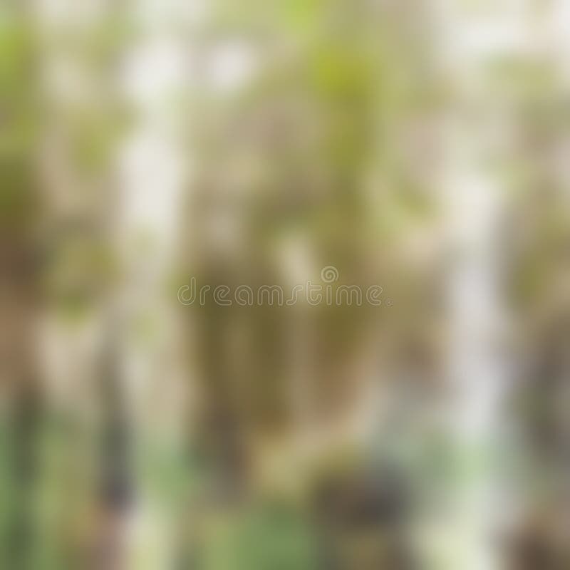 Modern Art on Canvas. Blur Background for Web Banner Desing Stock Photo ...