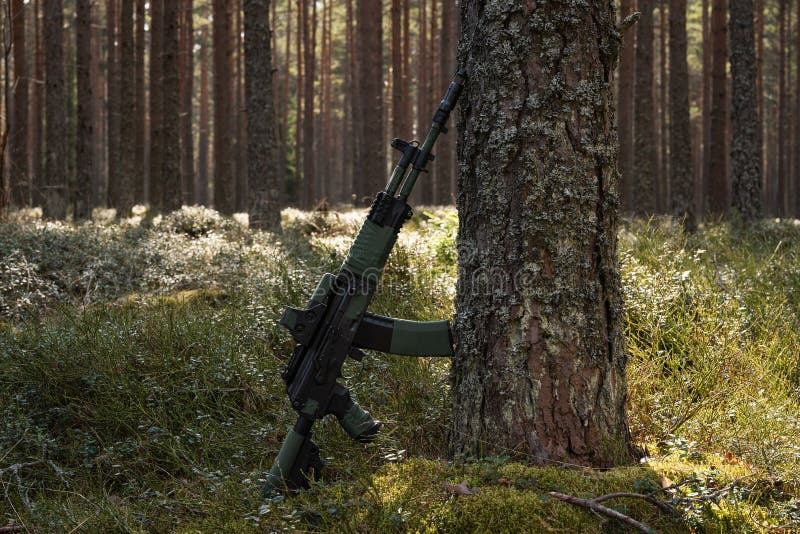 Modern Assault Rifle Leaning Against a Pine Tree in a Sunlit Forest ...